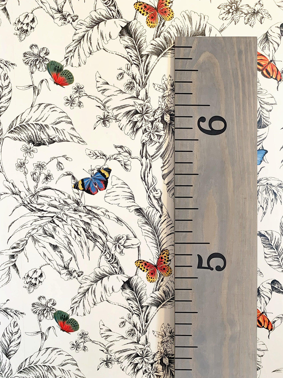 6 Inch Ruler Measurements | Engraved Growth Chart | Half Pint Ink